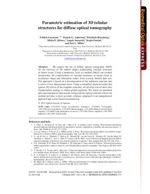 (PDF) Parametric estimation of 3D tubular structures for diffuse optical tomography