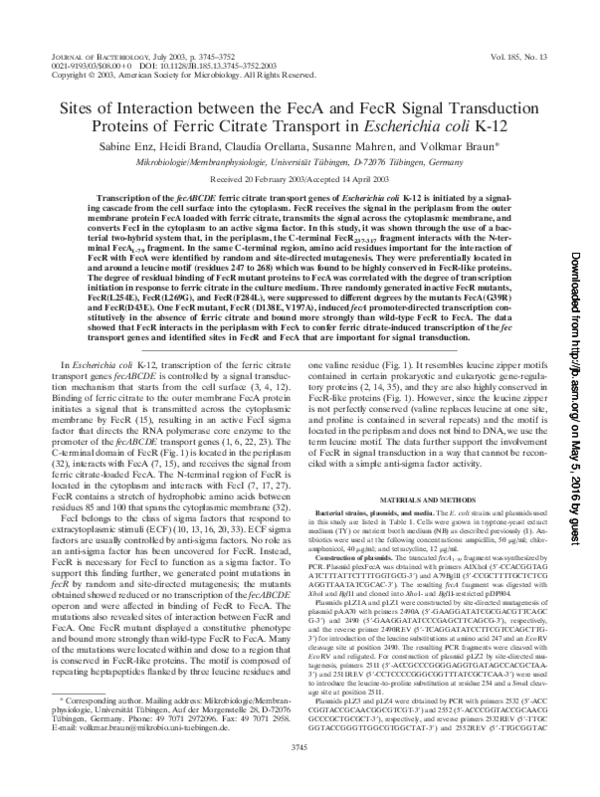 (PDF) Sites of Interaction between the FecA and FecR Signal ...