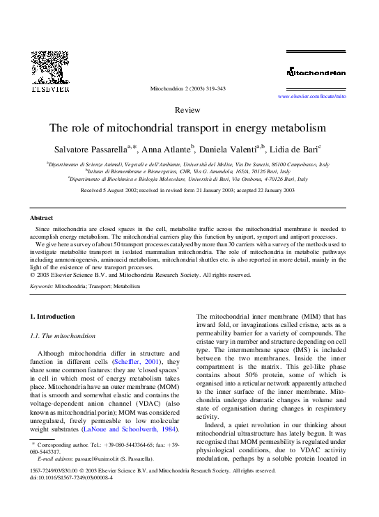 (PDF) The role of mitochondrial transport in energy metabolism