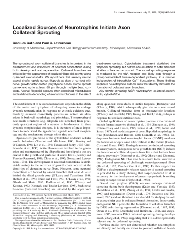 (PDF) Localized sources of neurotrophins initiate axon collateral sprouting