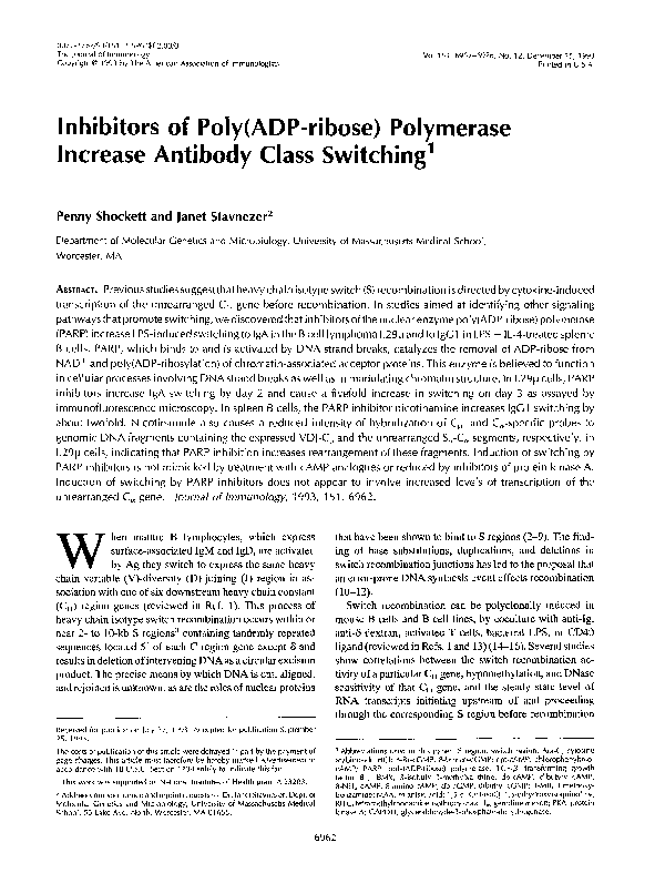 (PDF) Inhibitors of poly(ADP-ribose) polymerase increase antibody class ...