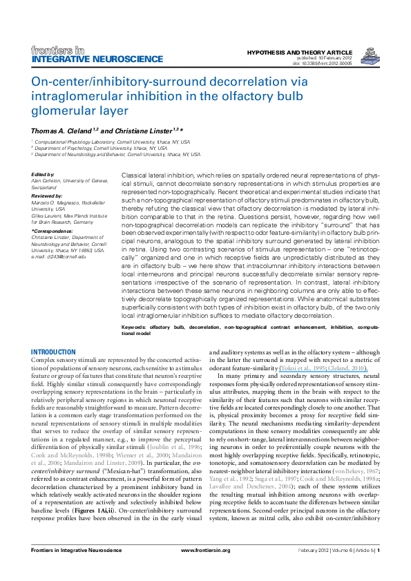 (PDF) On-Center/Inhibitory-Surround Decorrelation via Intraglomerular ...