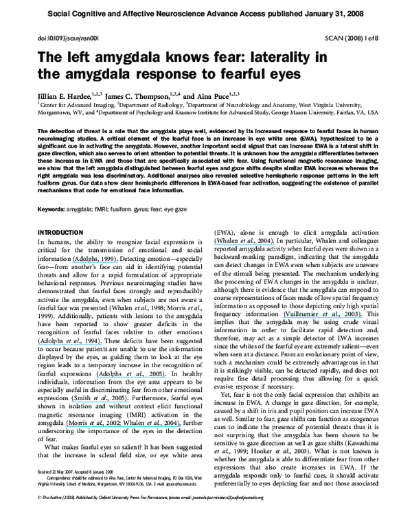 (PDF) The left amygdala knows fear: laterality in the amygdala response ...