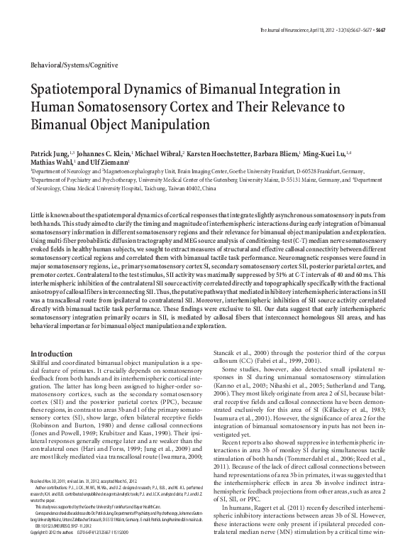 (PDF) Spatiotemporal Dynamics of Bimanual Integration in Human ...