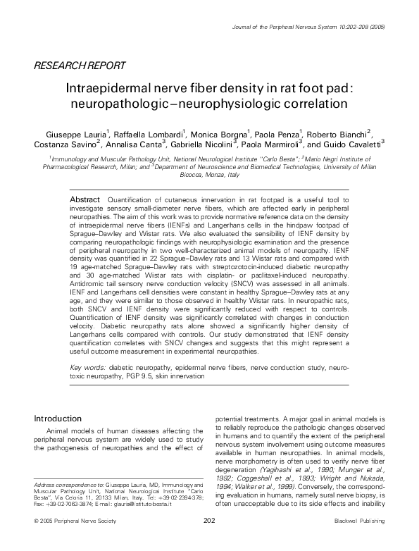 (PDF) Intraepidermal nerve fiber density in rat foot pad: neuropathologic-neurophysiologic ...