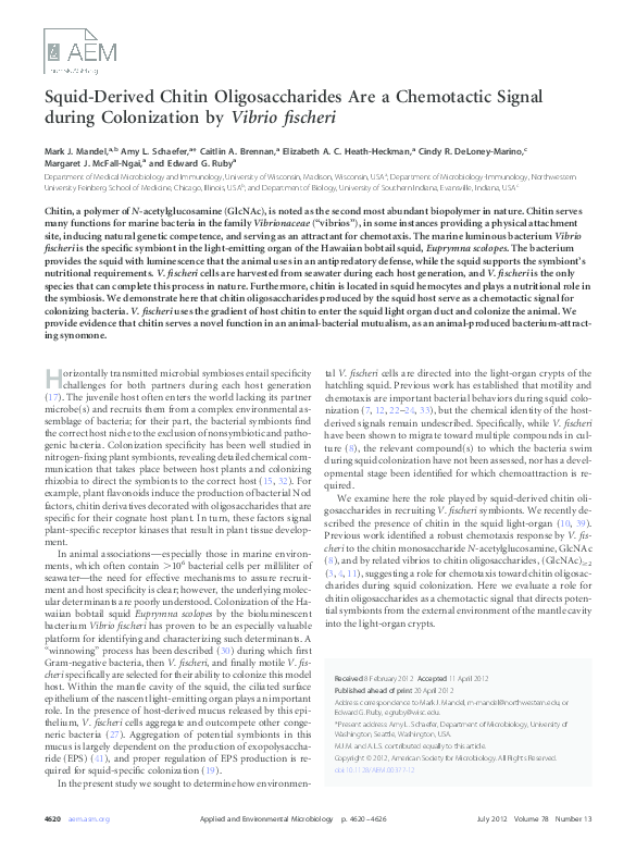 (PDF) Squid-Derived Chitin Oligosaccharides Are a Chemotactic Signal ...