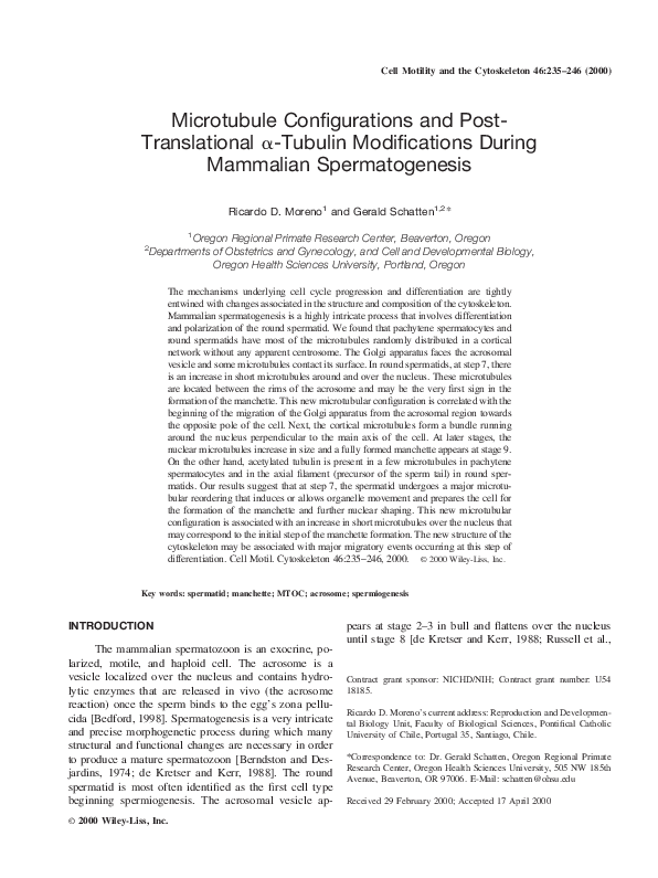 (PDF) Microtubule configurations and post-translational ?-tubulin ...