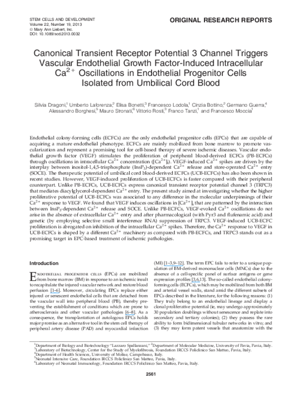 (PDF) Canonical Transient Receptor Potential 3 Channel Triggers Vascular Endothelial Growth ...