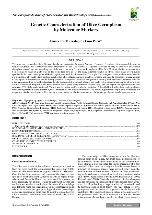 Genetic Characterization of Olive Germplasm by Molecular Markers