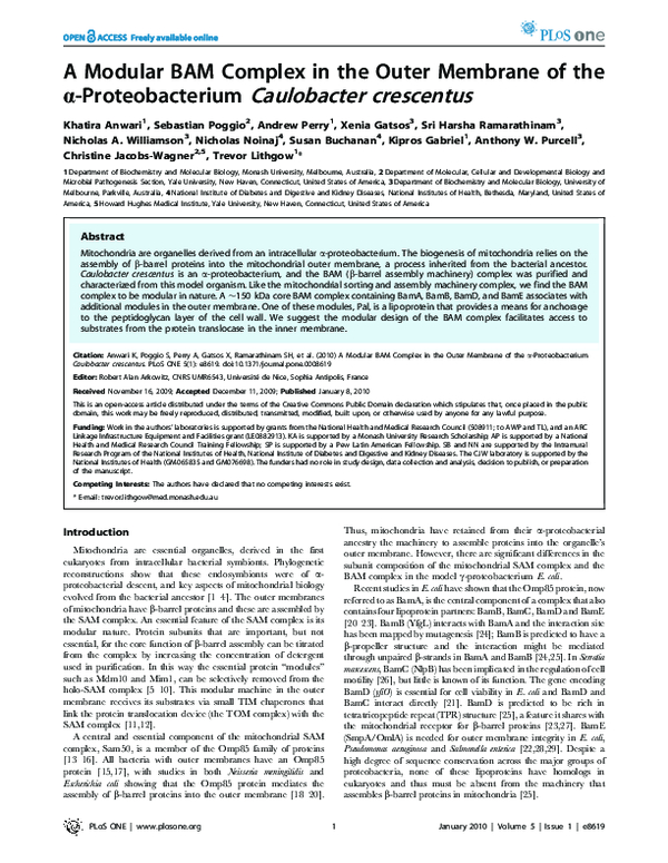 (PDF) A Modular BAM Complex in the Outer Membrane of the α ...