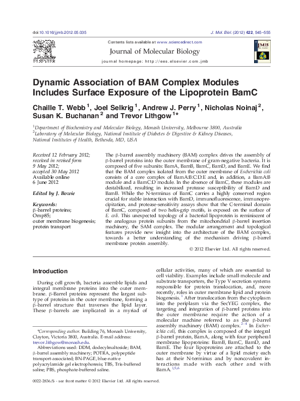 (PDF) Dynamic Association of BAM Complex Modules Includes Surface ...