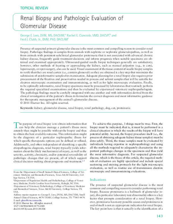 (PDF) Renal Biopsy and Pathologic Evaluation of Glomerular Disease