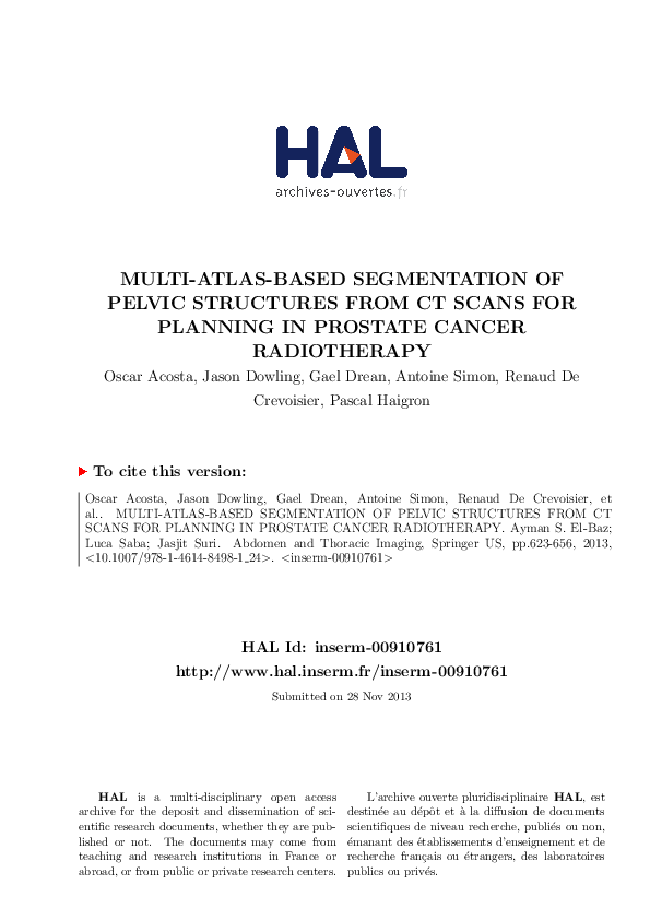 (PDF) Multi-Atlas-Based Segmentation of Pelvic Structures from CT Scans for Planning in Prostate ...
