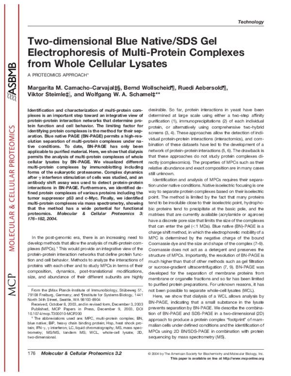 (PDF) Two-dimensional Blue Native/SDS Gel Electrophoresis of Multi ...