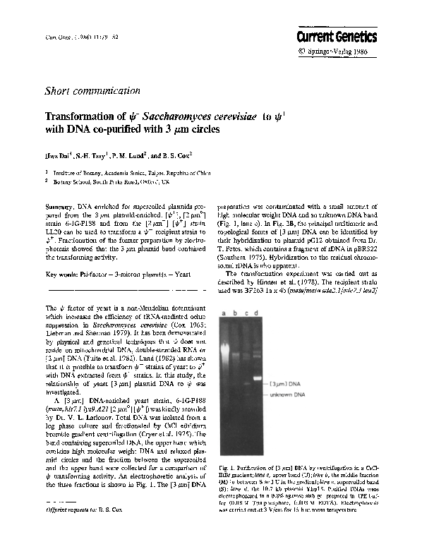 (PDF) Transformation of ? ? Saccharomyces cerevisiae to ? + with DNA co-purified with 3 ?m circles