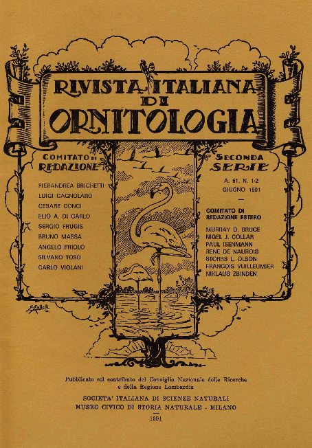 (PDF) Il Gobbo della Giamaica, Oxyura jamaicensis, in Europa e prima ...