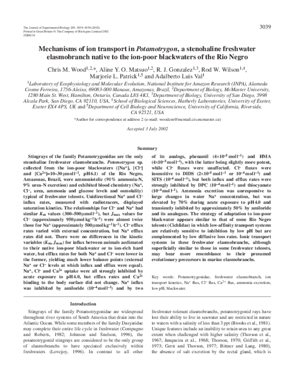 (PDF) Mechanisms of ion transport in Potamotrygon, a stenohaline ...