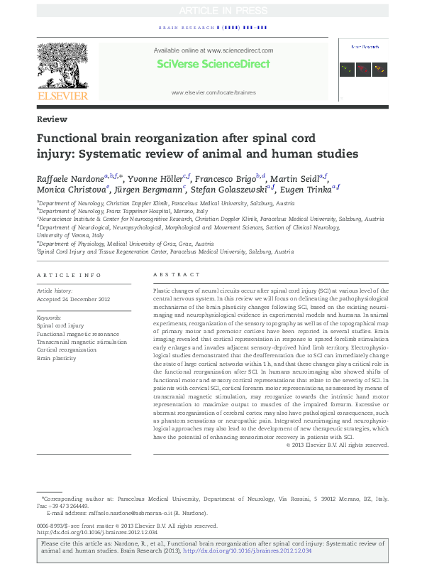 (PDF) Functional brain reorganization after spinal cord injury ...