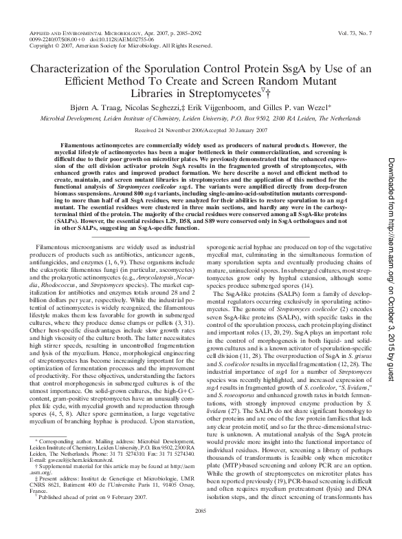 (PDF) Characterization of the Sporulation Control Protein SsgA by Use ...
