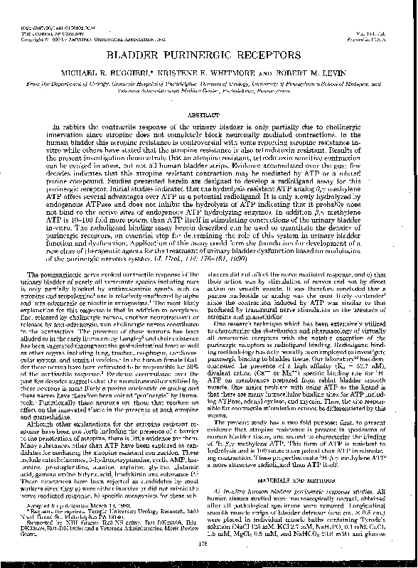 (PDF) Bladder Purinergic Receptors