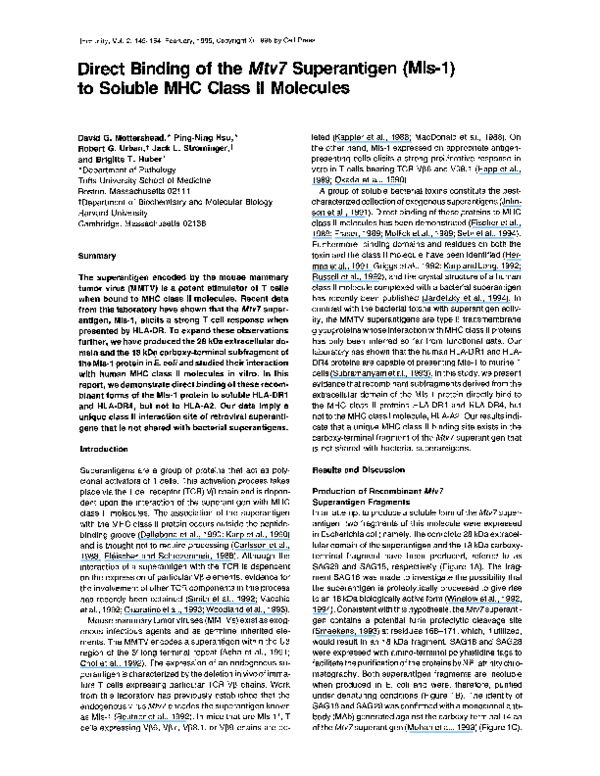 (PDF) Direct binding of the Mtv7 superantigen (Mls-1) to soluble MHC ...