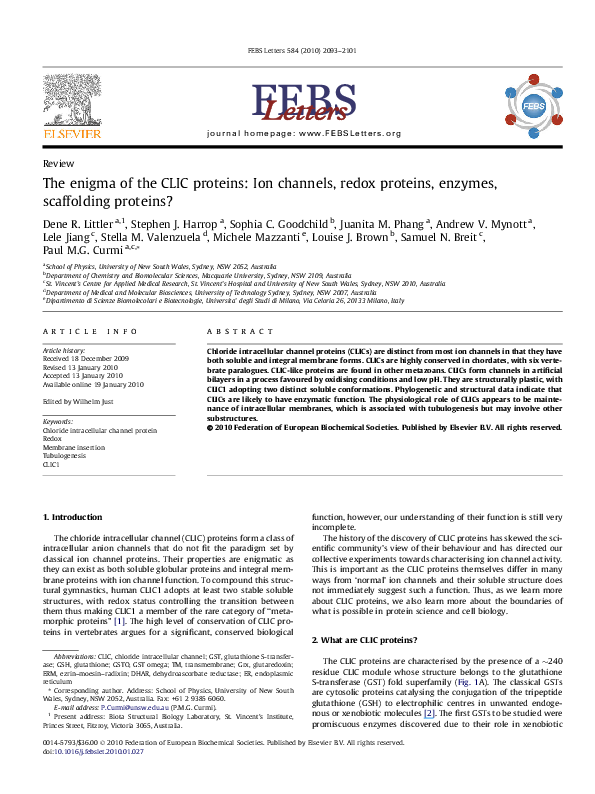 (PDF) The enigma of the CLIC proteins: Ion channels, redox proteins ...