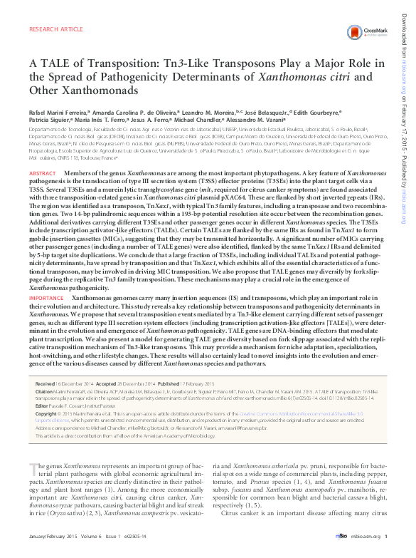 (PDF) A TALE of transposition: Tn3-like transposons play a major role in the spread of ...
