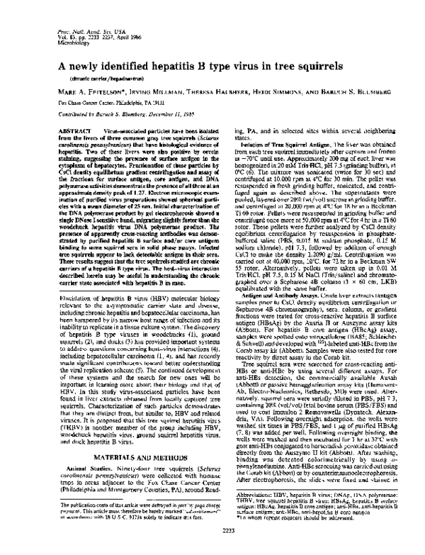 (PDF) A newly identified hepatitis B type virus in tree squirrels ...