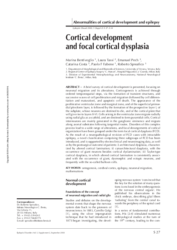 (PDF) Cortical development and focal cortical dysplasia