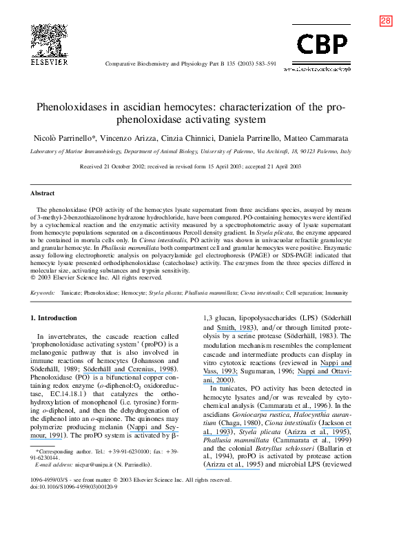 (PDF) Phenoloxidases in ascidian hemocytes: characterization of the pro ...