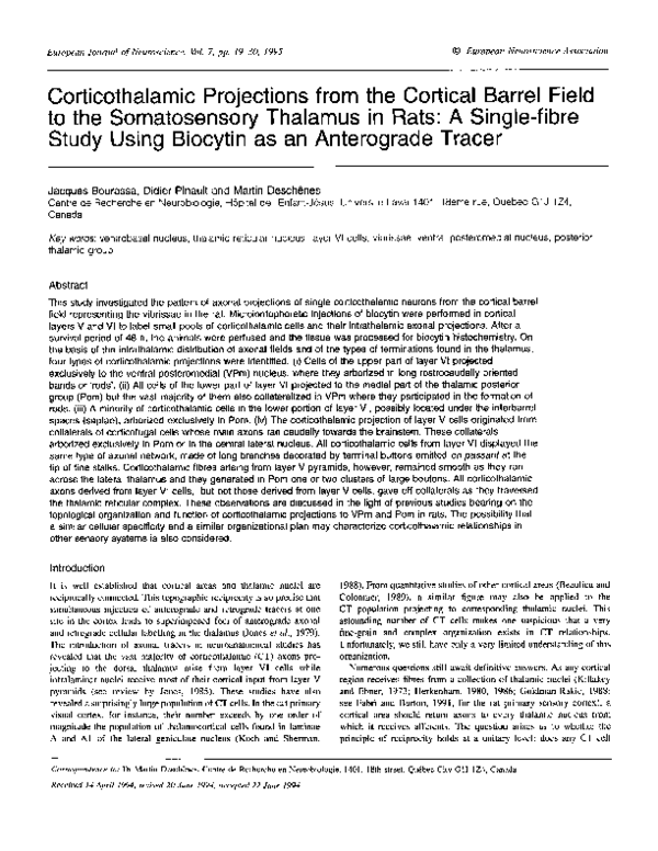 (PDF) Corticothalamic Projections from the Cortical Barrel Field to the ...