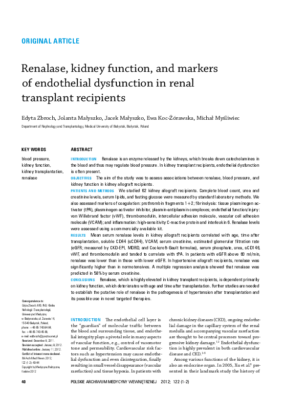 (PDF) Renalase, kidney function, and markers of endothelial dysfunction ...