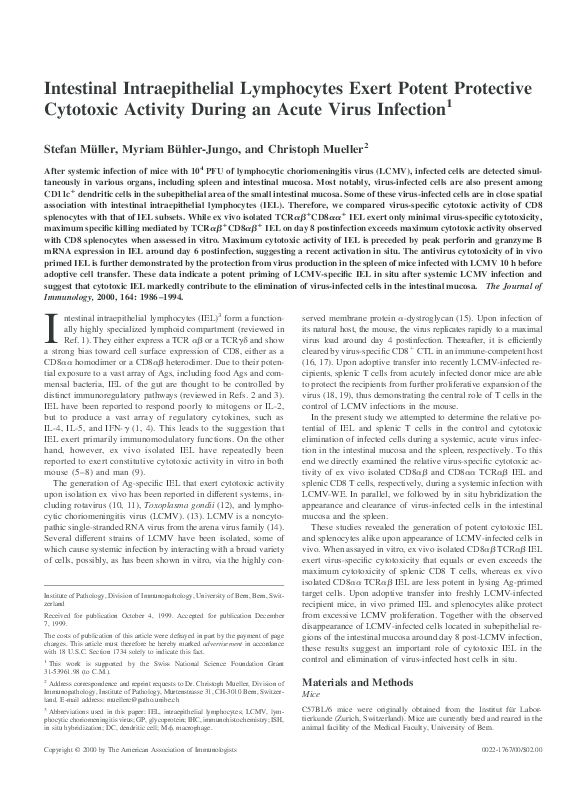 (PDF) Intestinal Intraepithelial Lymphocytes Exert Potent Protective ...