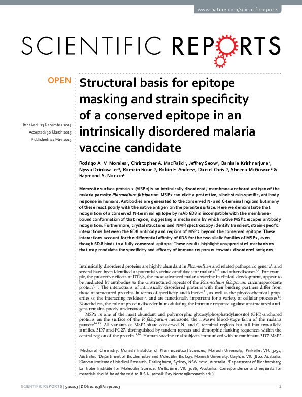 (PDF) Structural basis for epitope masking and strain specificity of a ...