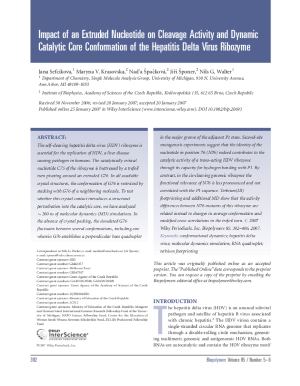 (PDF) Impact of an extruded nucleotide on cleavage activity and dynamic ...