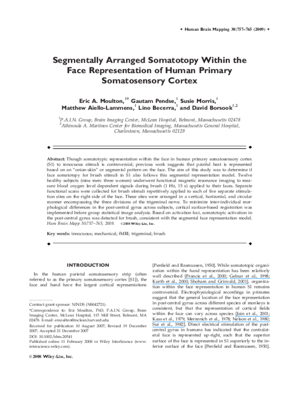 (PDF) Segmentally arranged somatotopy within the face representation of ...
