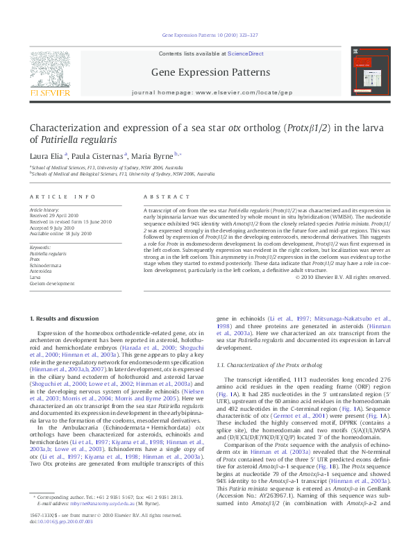 (PDF) Characterization and expression of a sea star otx ortholog ...