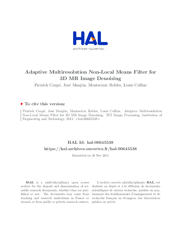 (PDF) Adaptive multiresolution non-local means filter for three ...