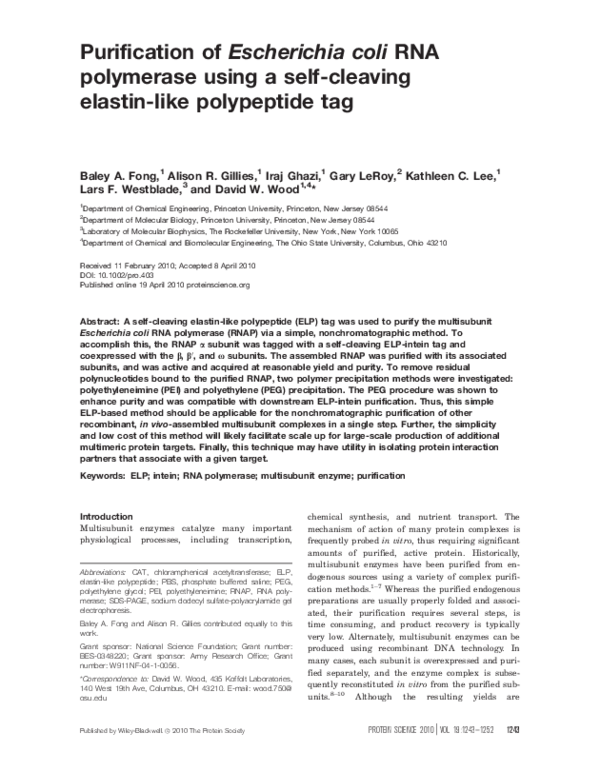 (PDF) Purification of Escherichia coli RNA polymerase using a self ...