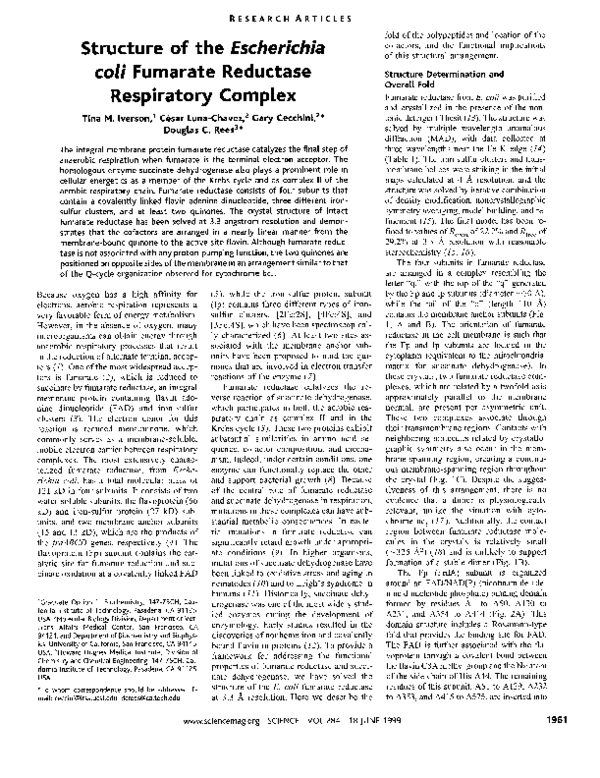 (PDF) Structure of the Escherichia coli Fumarate Reductase Respiratory ...