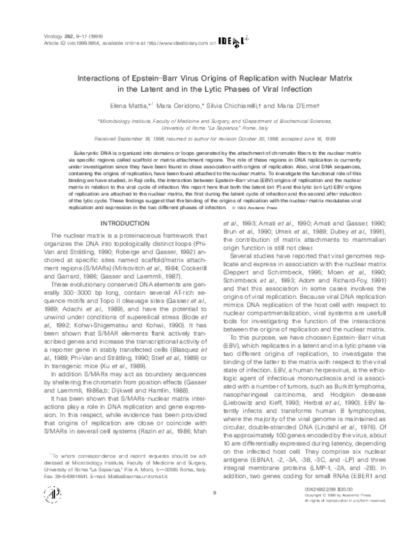 (PDF) Interactions of Epstein–Barr Virus Origins of Replication with ...