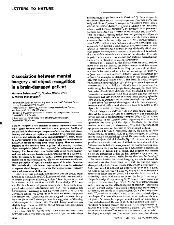 (PDF) Dissociation between mental imagery and object recognition in a ...