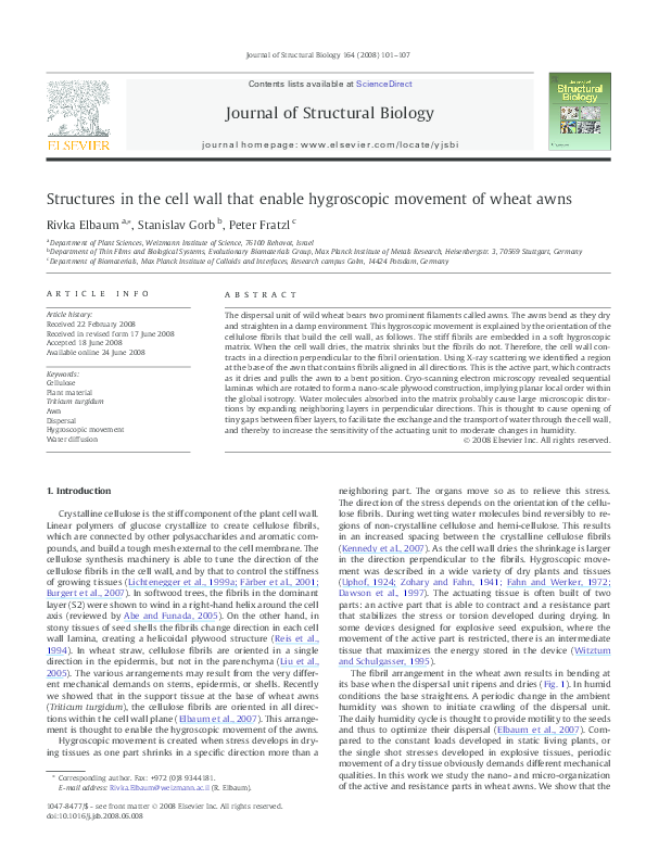 (PDF) Structures in the cell wall that enable hygroscopic movement of ...