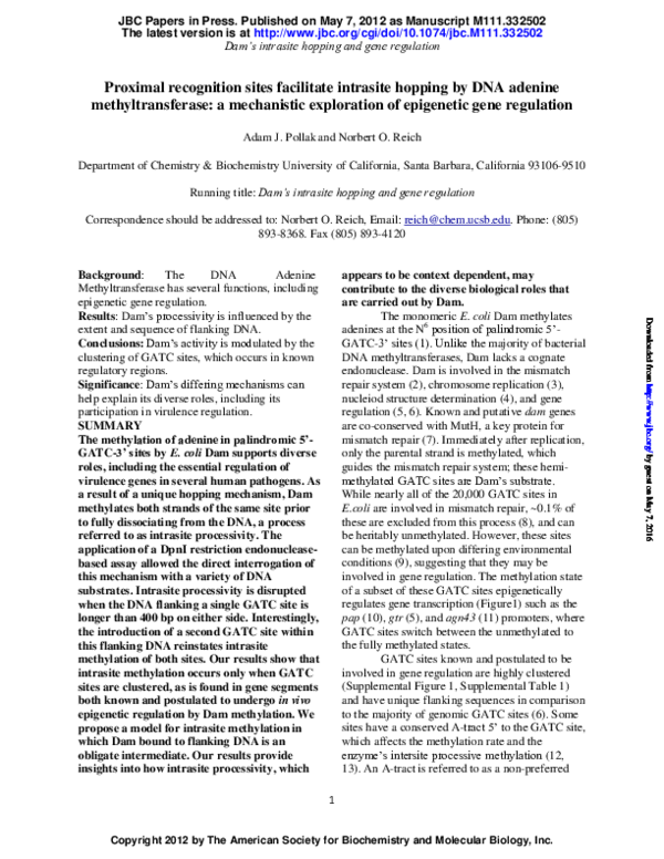 (PDF) Proximal Recognition Sites Facilitate Intrasite Hopping by DNA ...