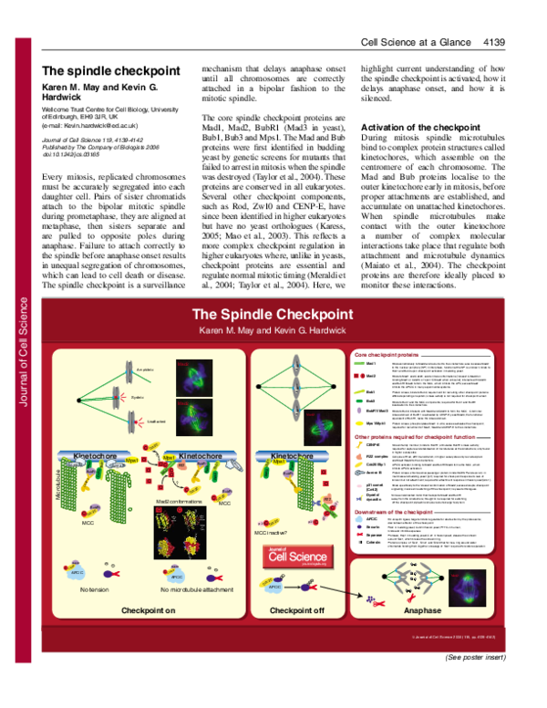 (PDF) The spindle checkpoint