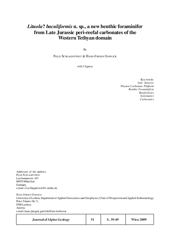 (PDF) Lituola? baculiformis n. sp., a new benthic foraminifer from Late ...