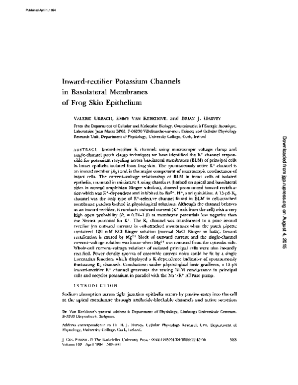 (PDF) Inward-rectifier Potassium in Basolateral Membranes of Frog Skin ...