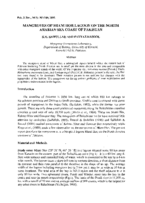 (PDF) Mangroves of Miani Hor Lagoon on the north Arabian Sea coast of ...