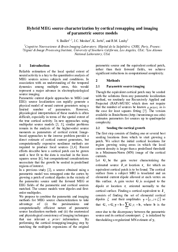 Pdf Hybrid Meg Source Characterization By Cortical Remapping And Imaging Of Parametric Source