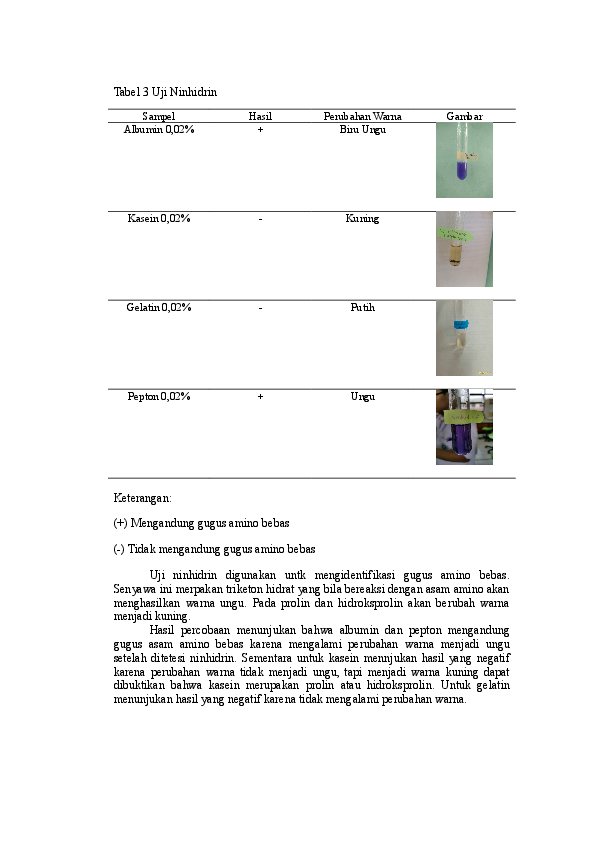 (DOC) Tabel 3 Uji Ninhidrin